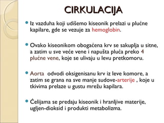 Srce kod sisara | PPT