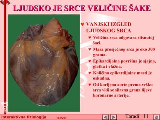 Srce (Heart) | PPT