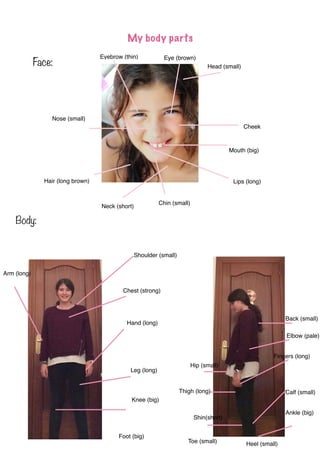 My body parts +adjectives | PDF