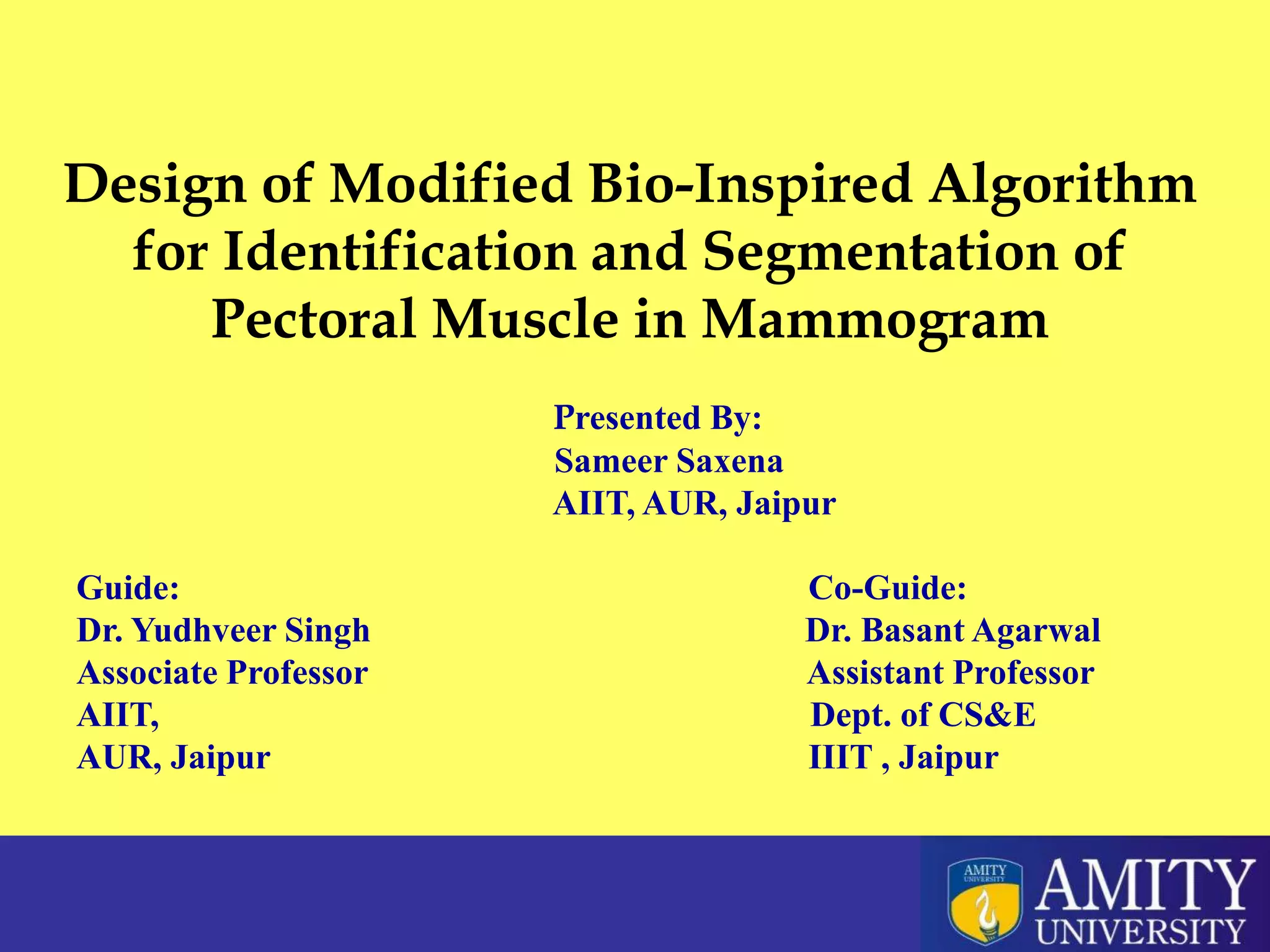 Design Of Modified Bio Inspired Algorithm For Identification And Segmentation Of Pectoral Muscle