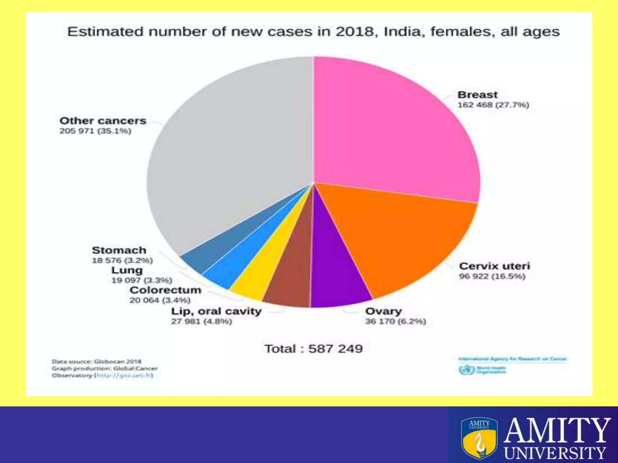 Design Of Modified Bio Inspired Algorithm For Identification And Segmentation Of Pectoral Muscle