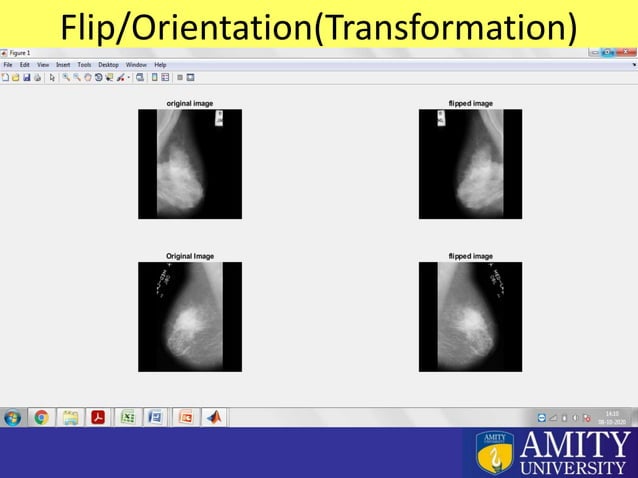 Design Of Modified Bio Inspired Algorithm For Identification And