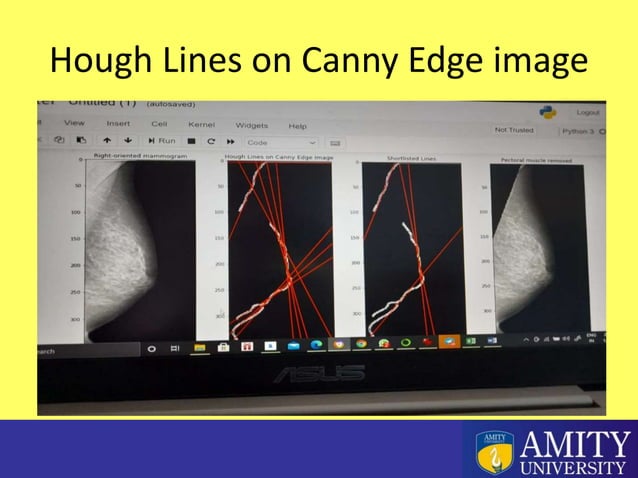 Design Of Modified Bio Inspired Algorithm For Identification And