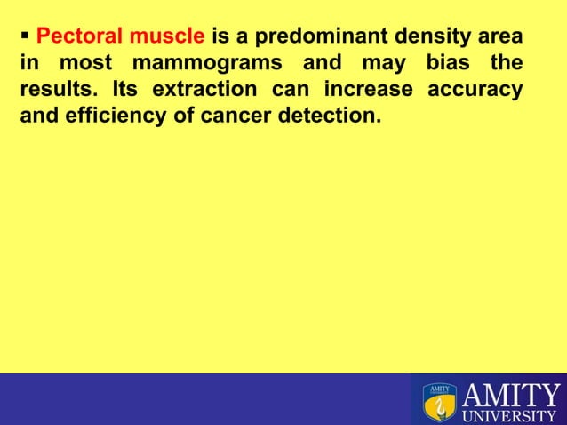 Design Of Modified Bio Inspired Algorithm For Identification And Segmentation Of Pectoral Muscle