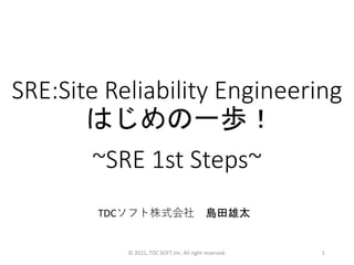 SRE 1st steps | PPT