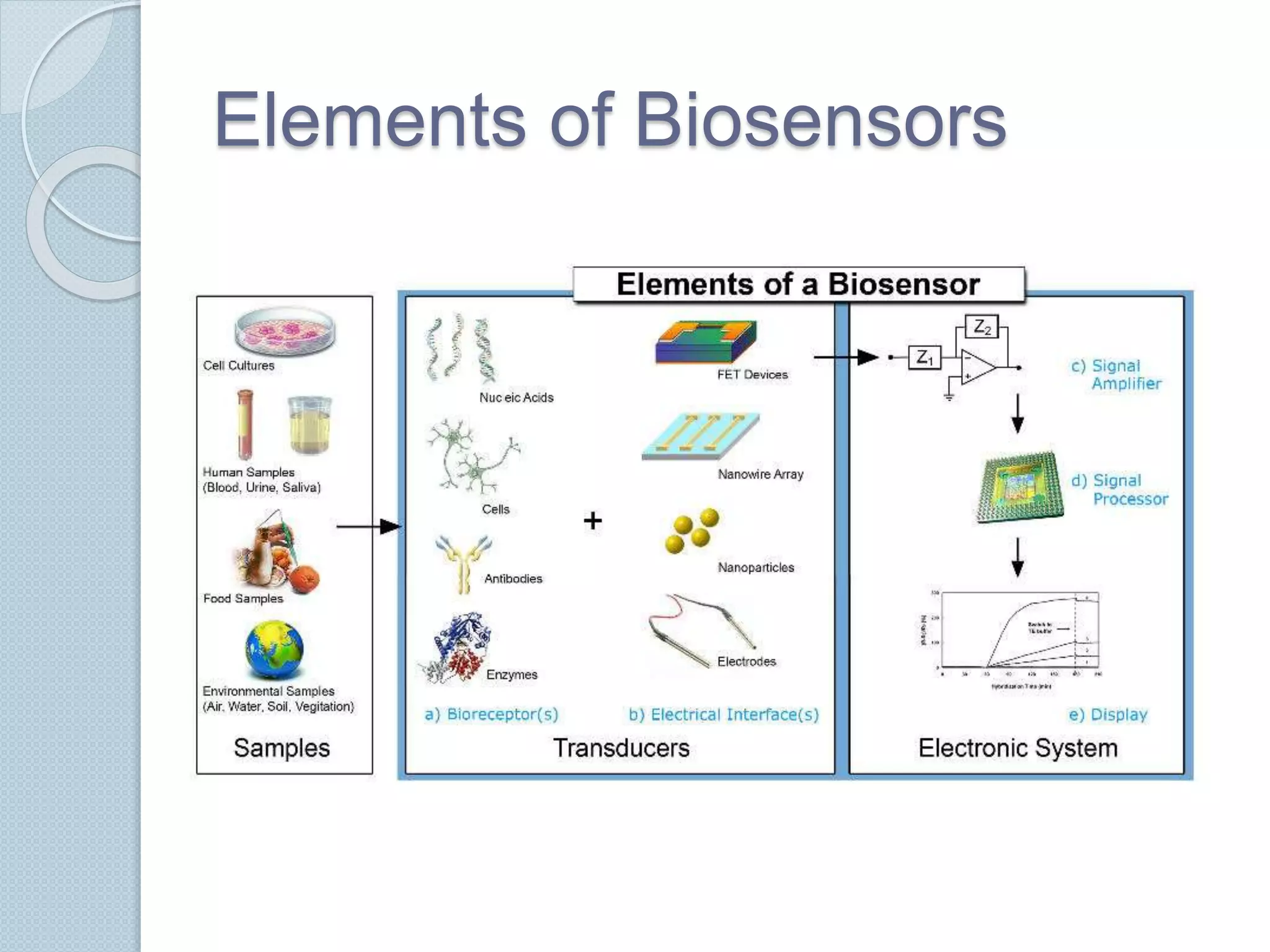 BIOSENSORS | PPTX | Chemistry | Science