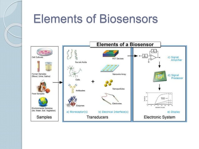 BIOSENSORS | PPTX | Chemistry | Science