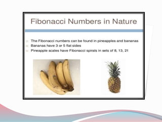 THE FIBONACCI SERIES | PPTX