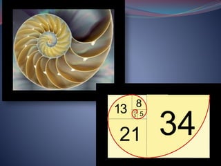 THE FIBONACCI SERIES | PPTX