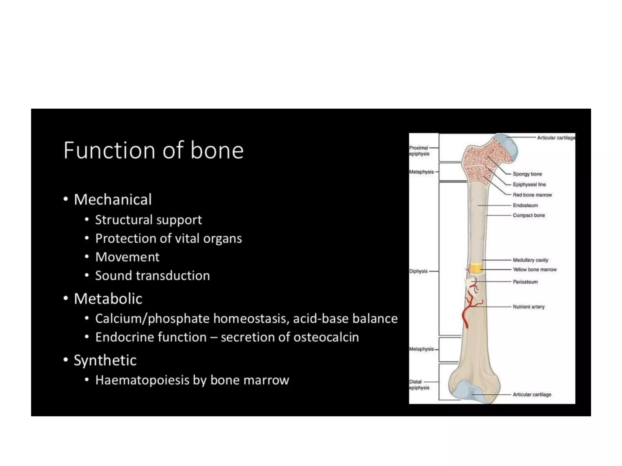 Bone healing and hand fractures | PPTX