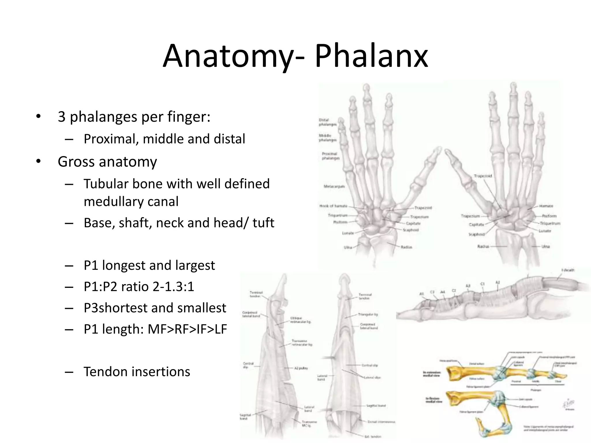 Bone healing and hand fractures | PPTX