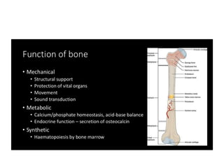 Bone healing and hand fractures | PPTX