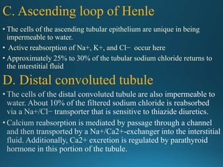 diuretic drugs | PPT