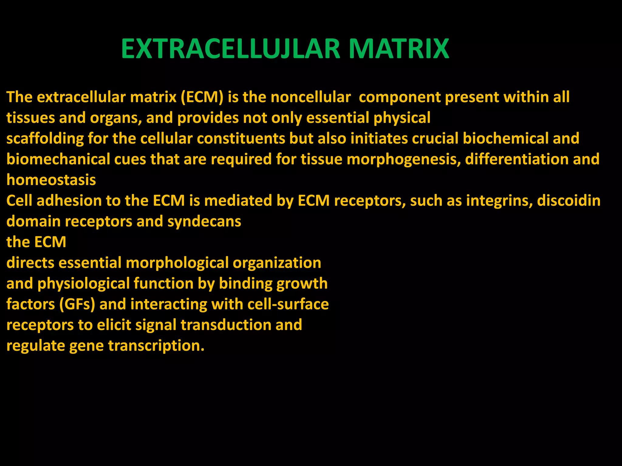 extracellular matrix | PPTX