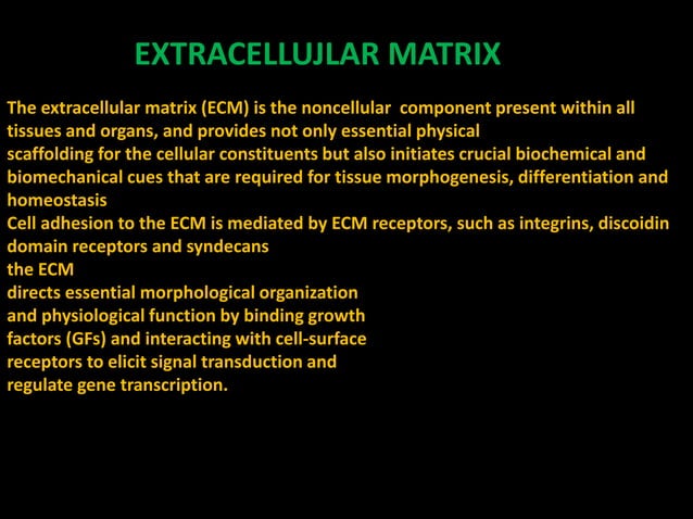 extracellular matrix | PPTX