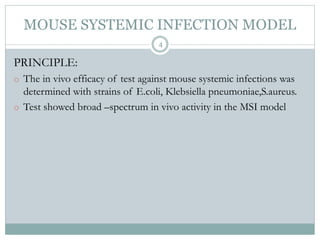 anti microbial screening models | PPT