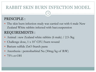 anti microbial screening models | PPTX