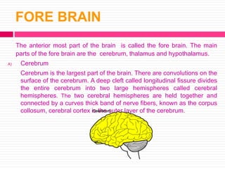 POWERPOINT PRESENTATION | PPTX