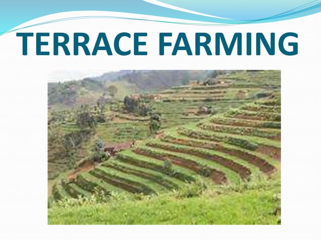 Sreelekshmi (presentation) | PPTX