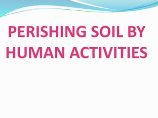 Sreelekshmi (presentation) | PPTX