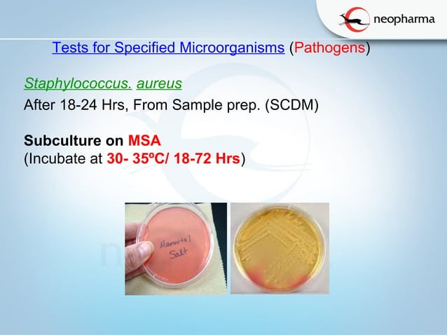 Microbial Limit Test- An Over view | PPT | Pharmaceutical Industry ...
