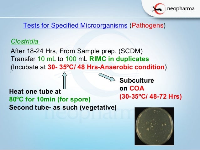 Microbial Limit Test- An Over view