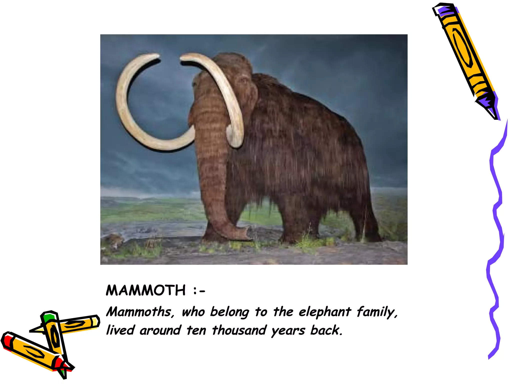 THE STONE AGE | PPT