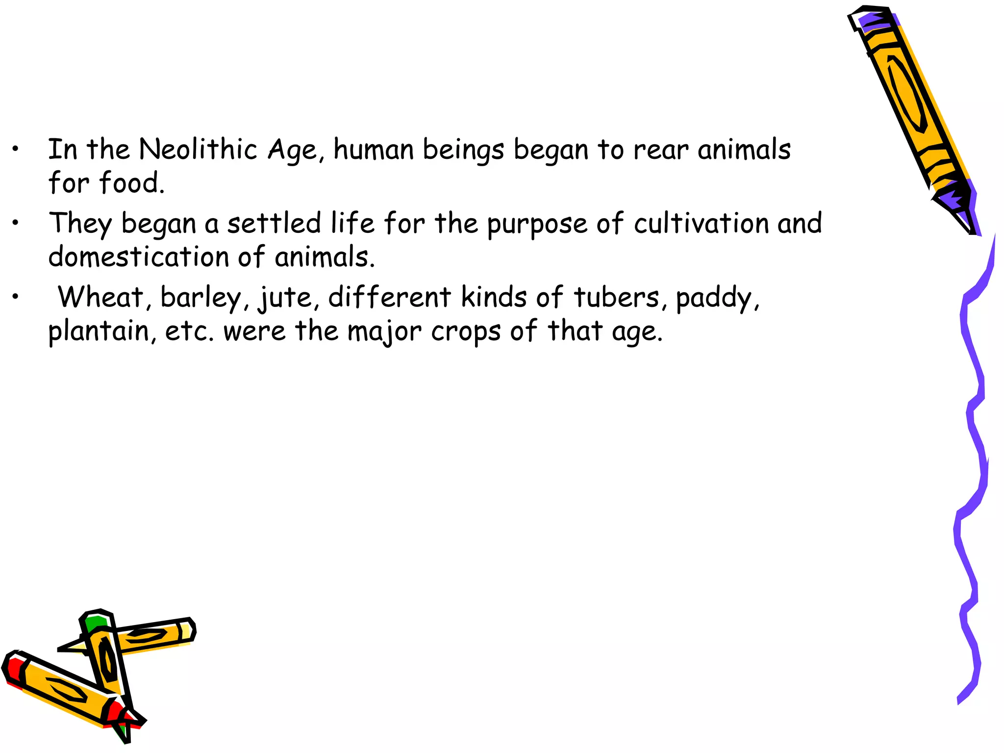 THE STONE AGE | PPT