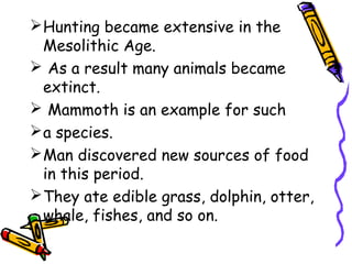 THE STONE AGE | PPT