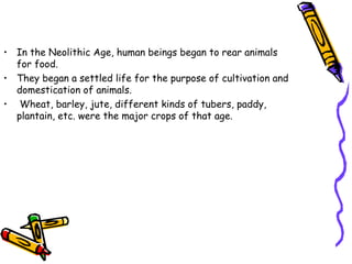 THE STONE AGE | PPT