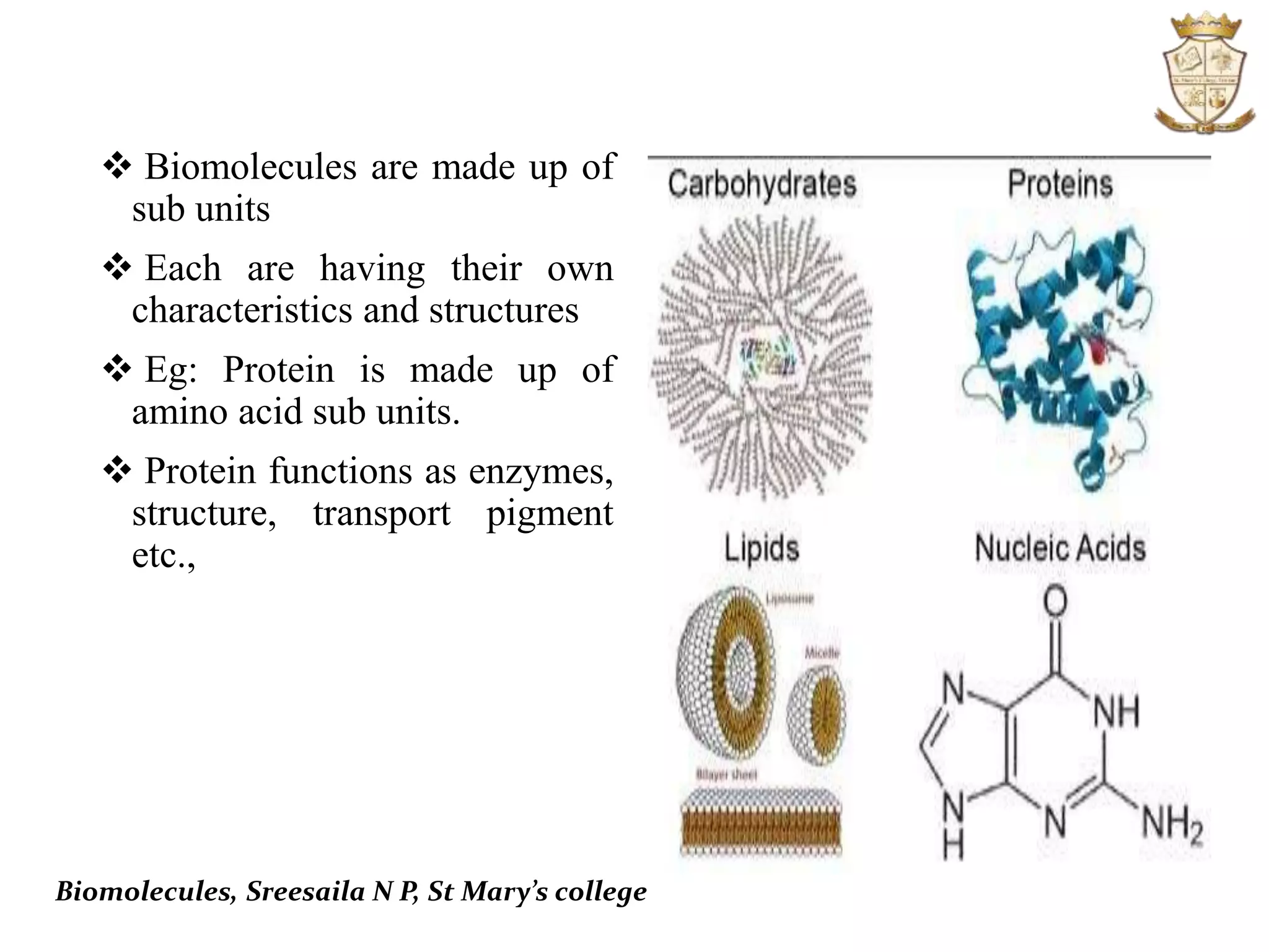 Biotechnology:Biomolecules | PPTX