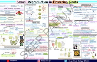 Sexual reproduction in flowering plants - Mind Maps.pdf
