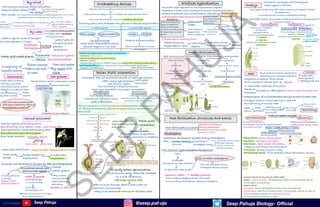 Sexual reproduction in flowering plants - Mind Maps.pdf
