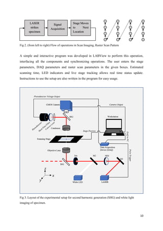 Development of Nonlinear Optical Microscope and Scanner | PDF