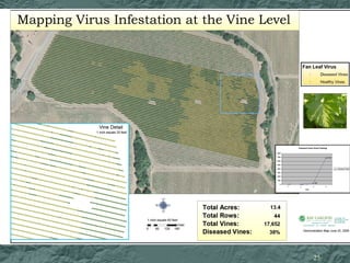 Accurate Vineyard Mapping for Mgmt & Marketing | PPT