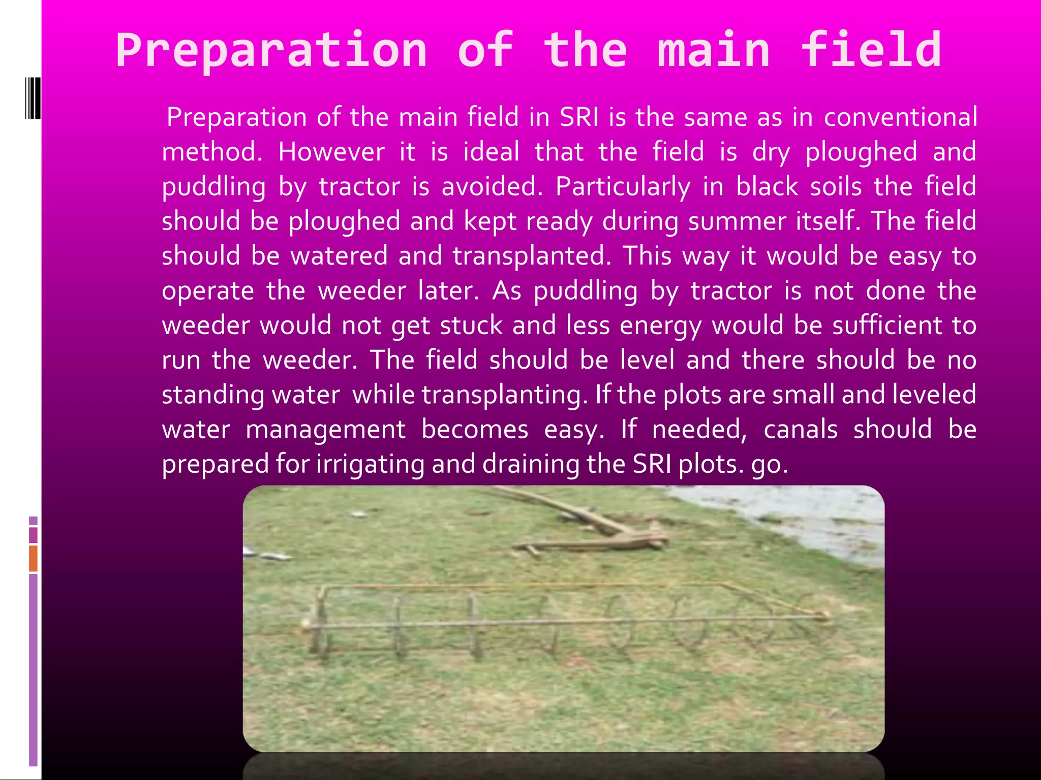 System of rice intensification, a sustainable method to increase crop ...