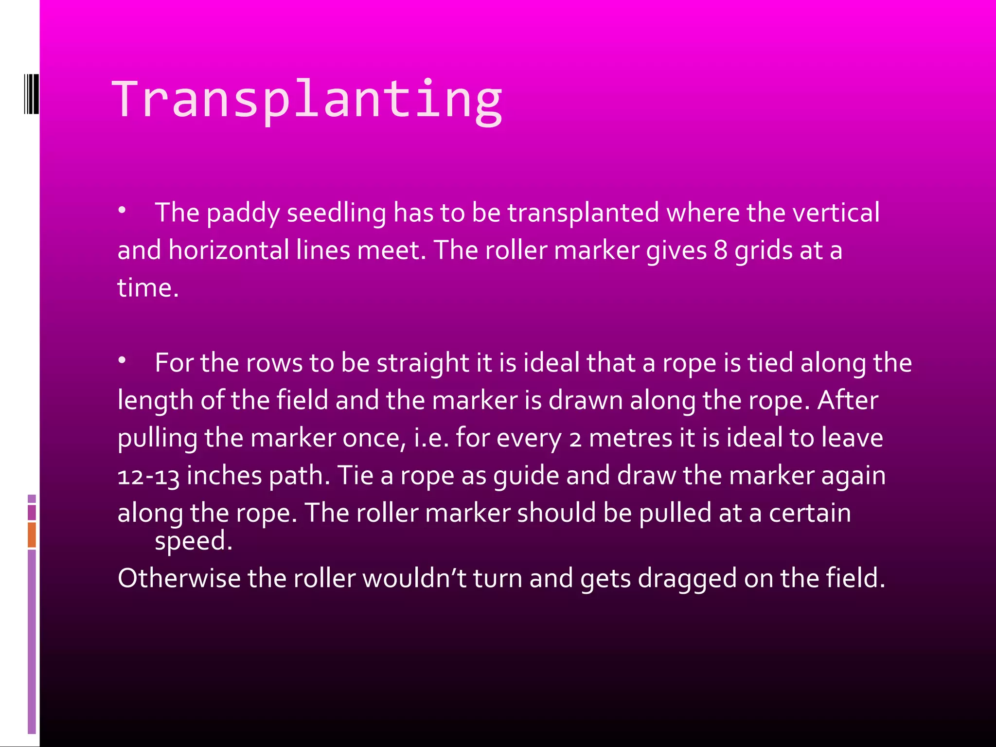 System of rice intensification, a sustainable method to increase crop ...