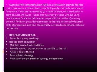 System of rice intensification, a sustainable method to increase crop ...