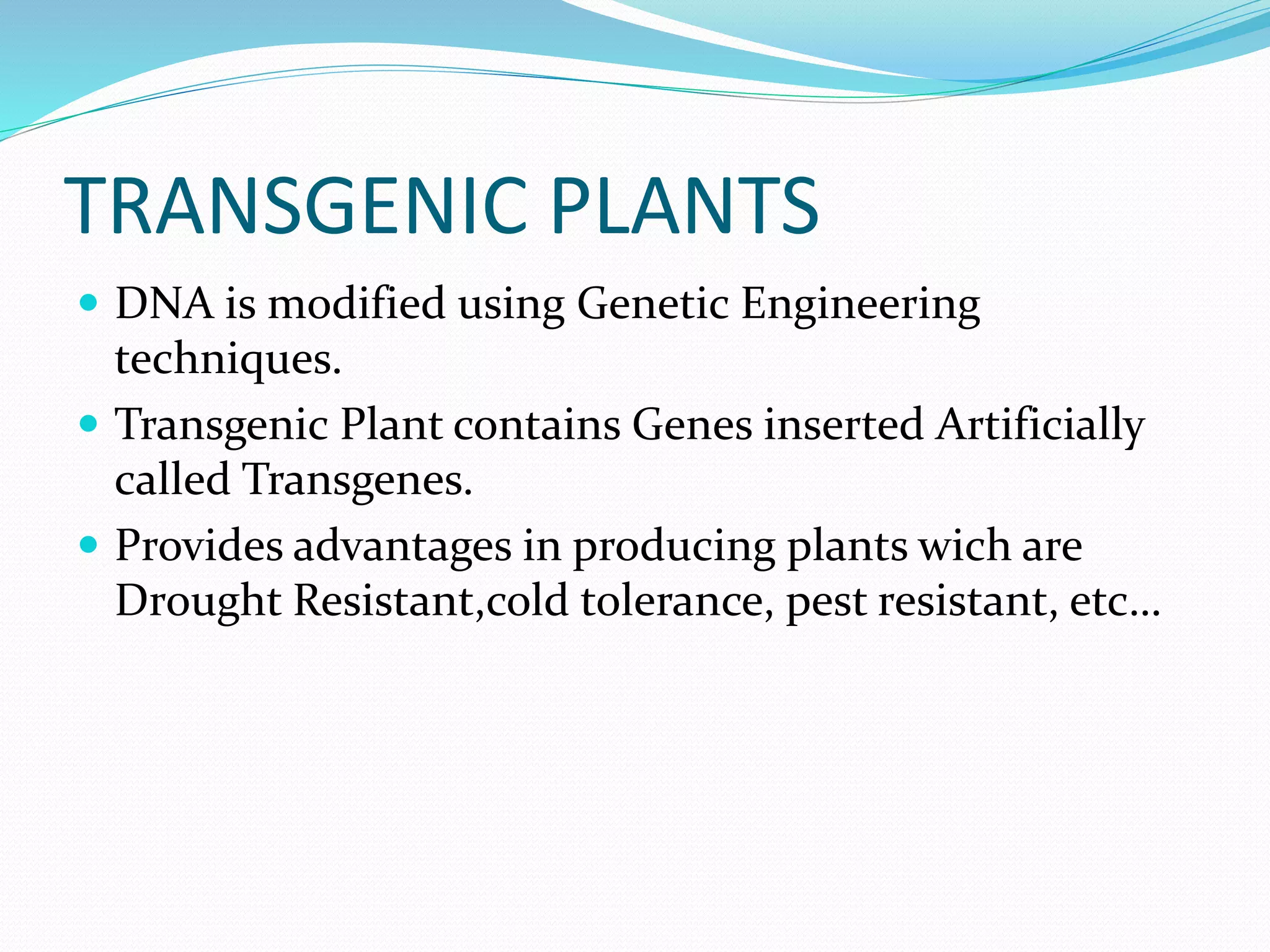 Agrobacterium mediated Transformation in rice | PPTX