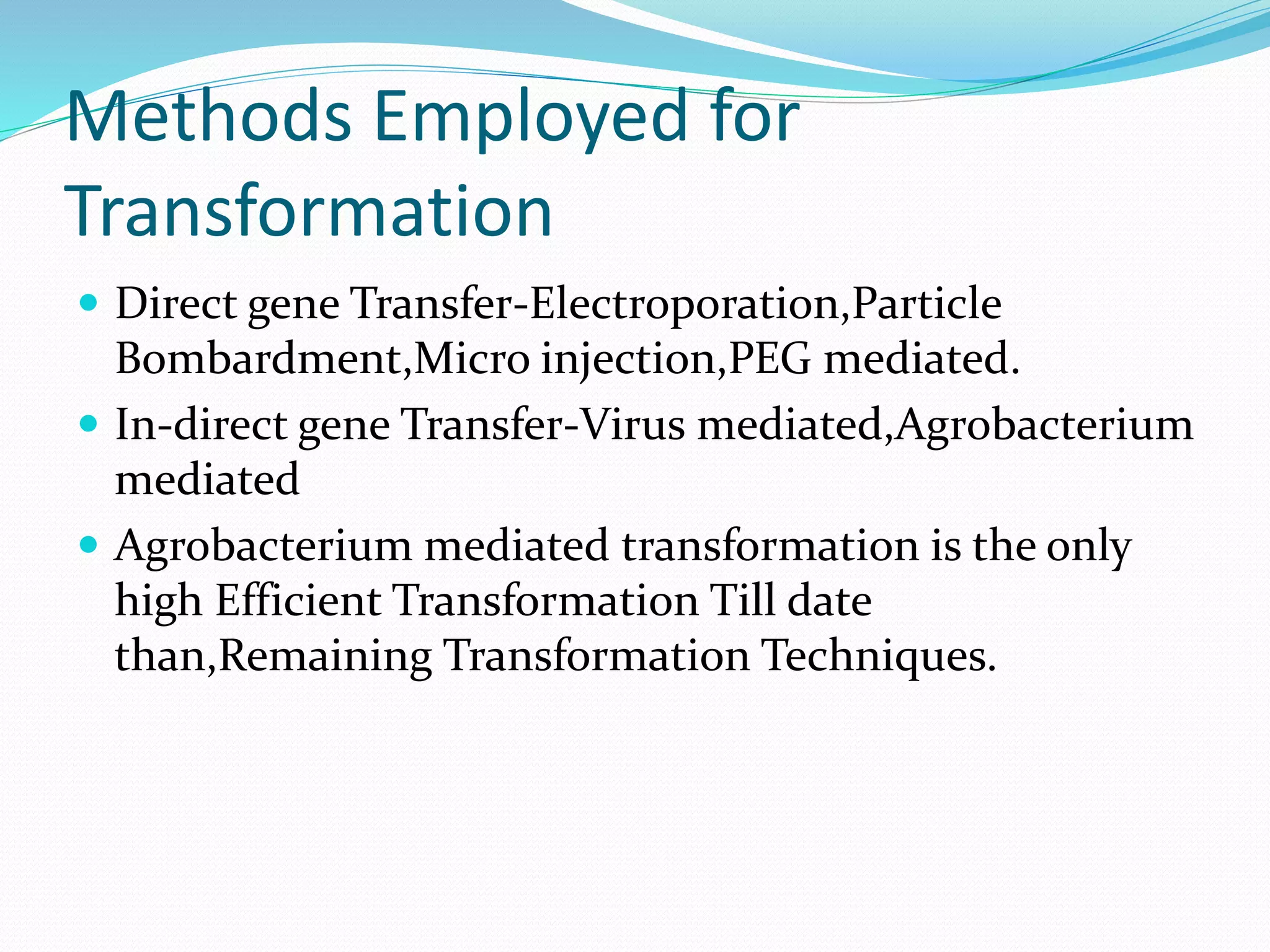 Agrobacterium mediated Transformation in rice | PPTX