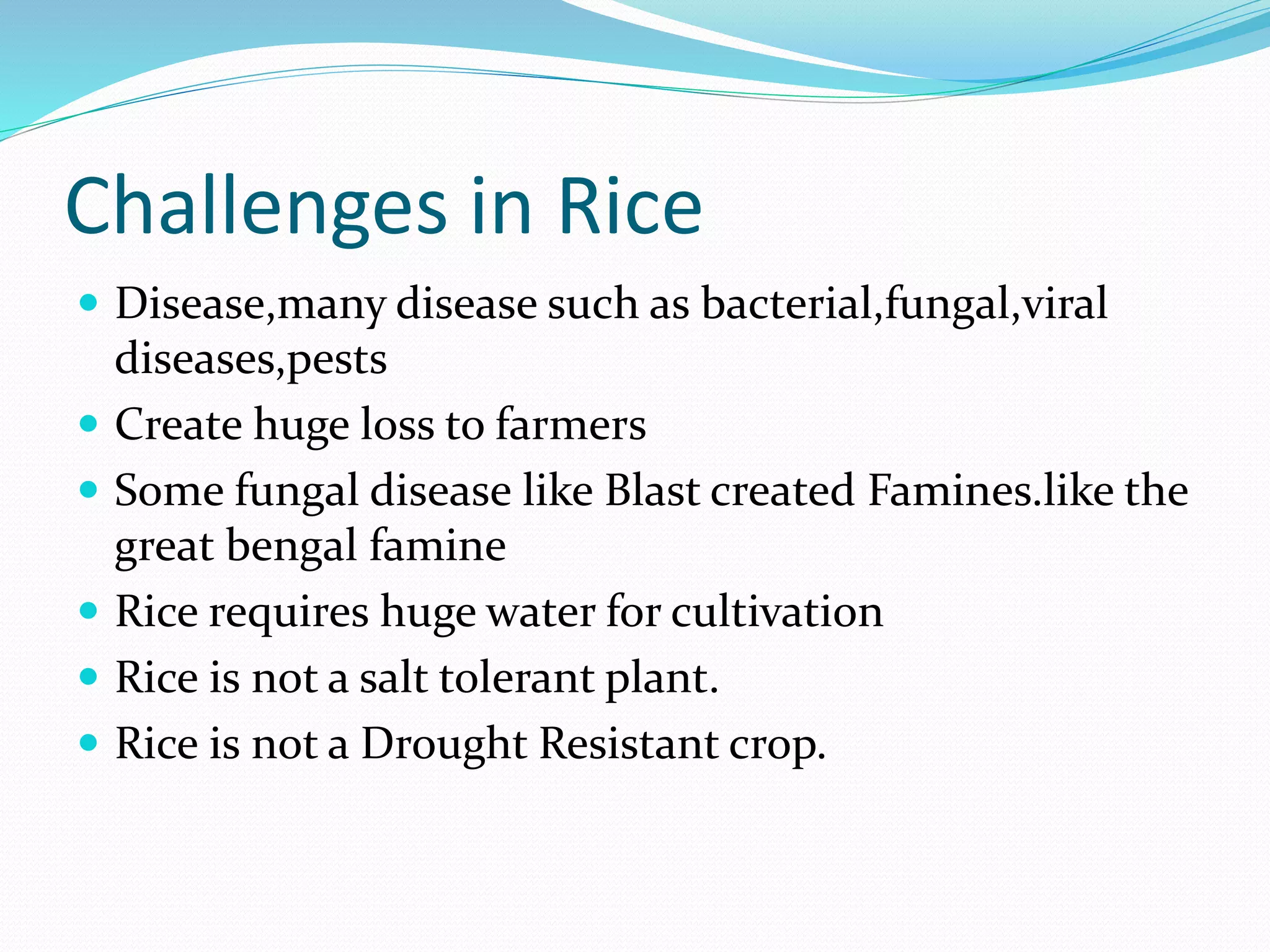 Agrobacterium mediated Transformation in rice | PPTX