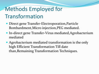 Agrobacterium mediated Transformation in rice | PPTX
