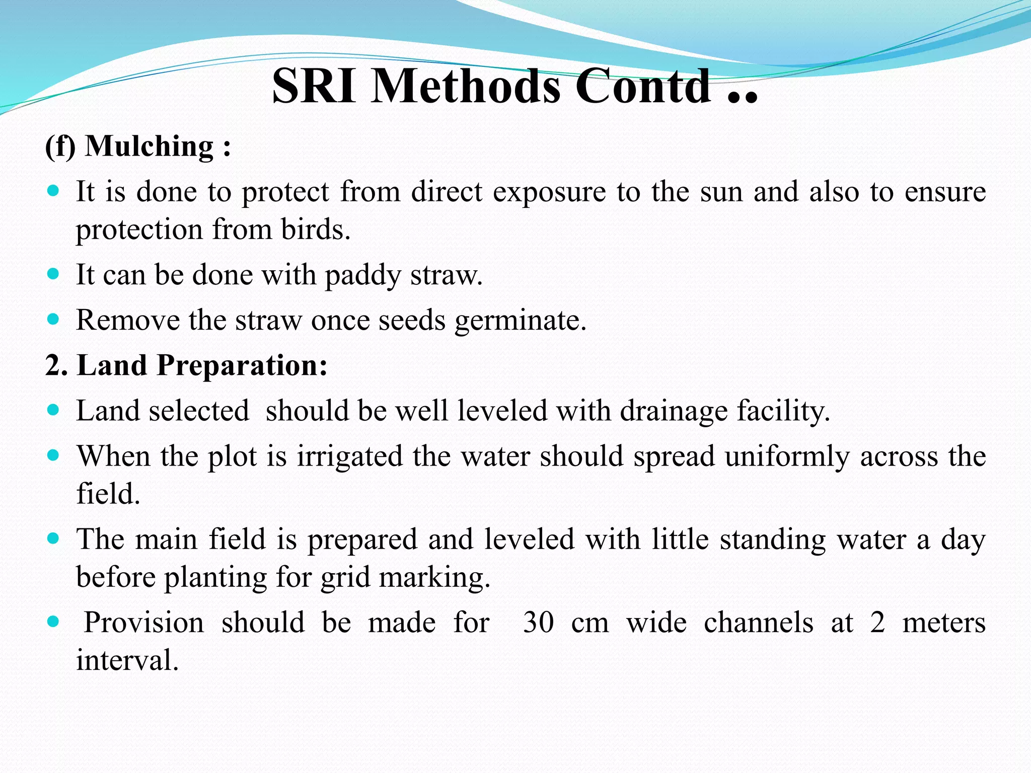 System of rice Intensification (SRI) | PPTX