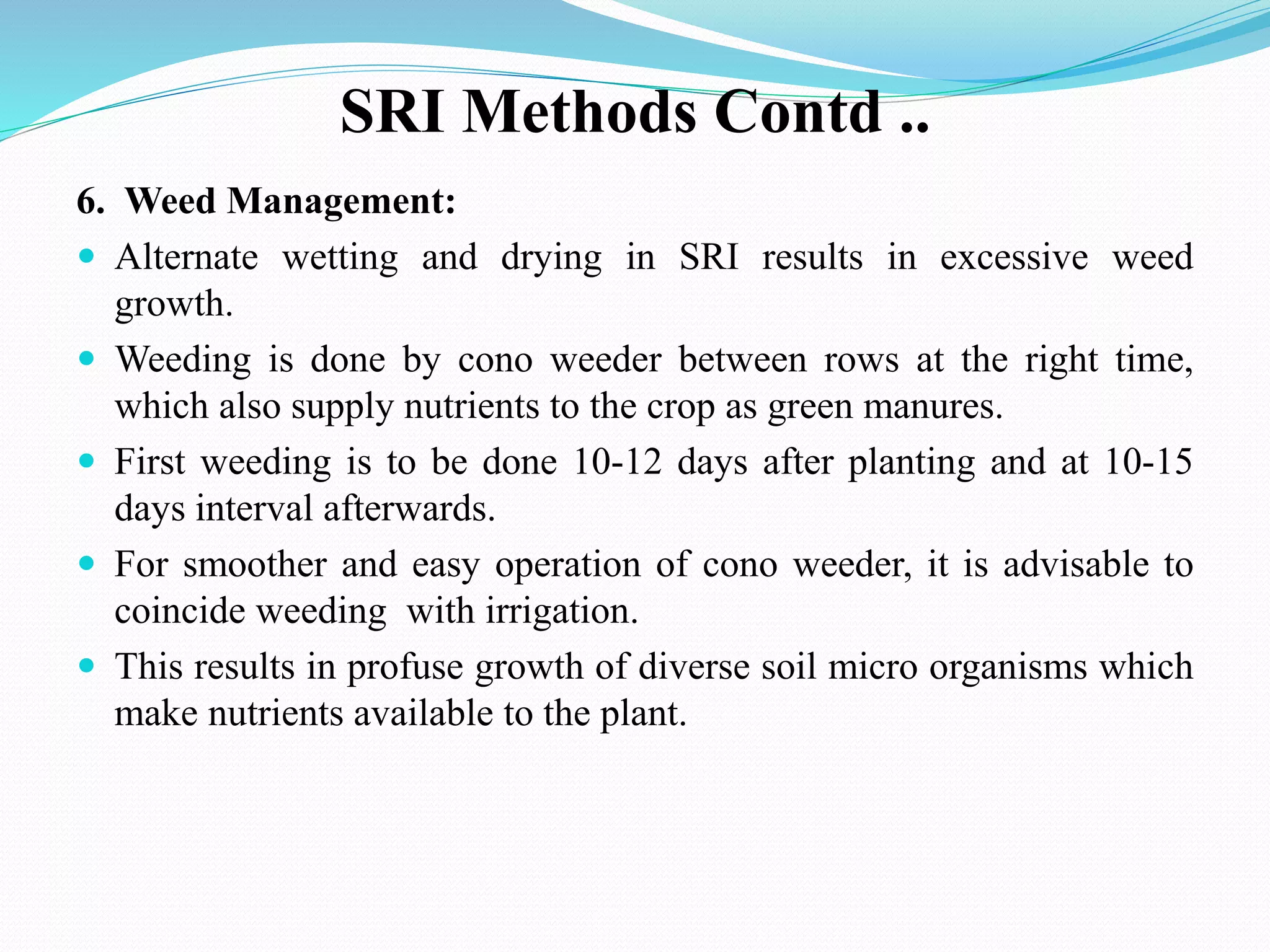 System of rice Intensification (SRI) | PPTX