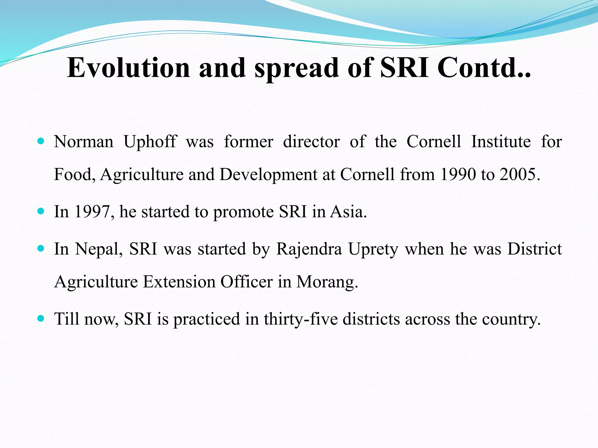 System Of Rice Intensification Sri Pptx Agriculture Industries