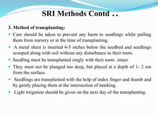 System of rice Intensification (SRI) | PPTX