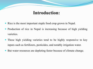 System of rice Intensification (SRI) | PPTX