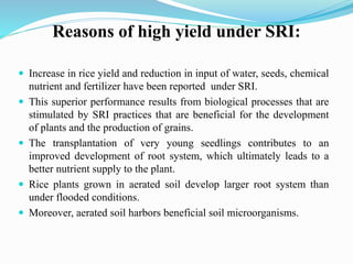 System of rice Intensification (SRI) | PPTX