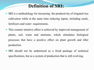System of rice Intensification (SRI) | PPTX