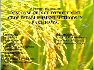 Presentation of Proposal for Rice trial | PPTX